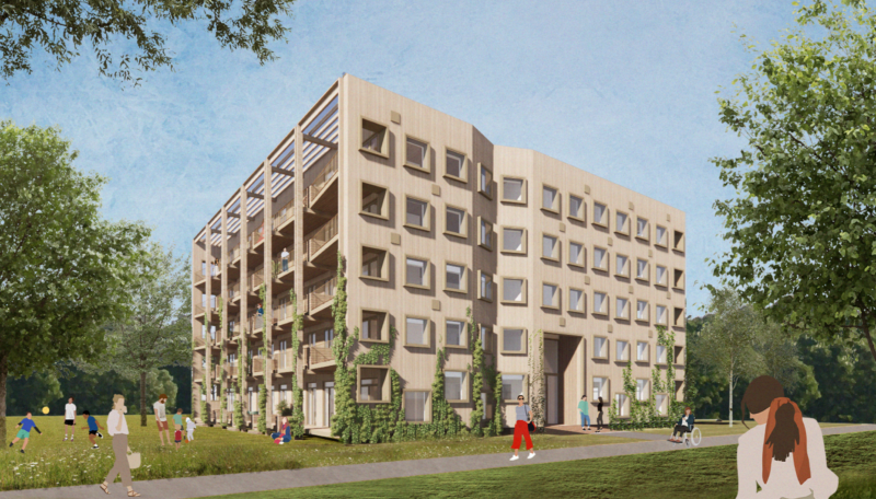 Het concept - MeerHout